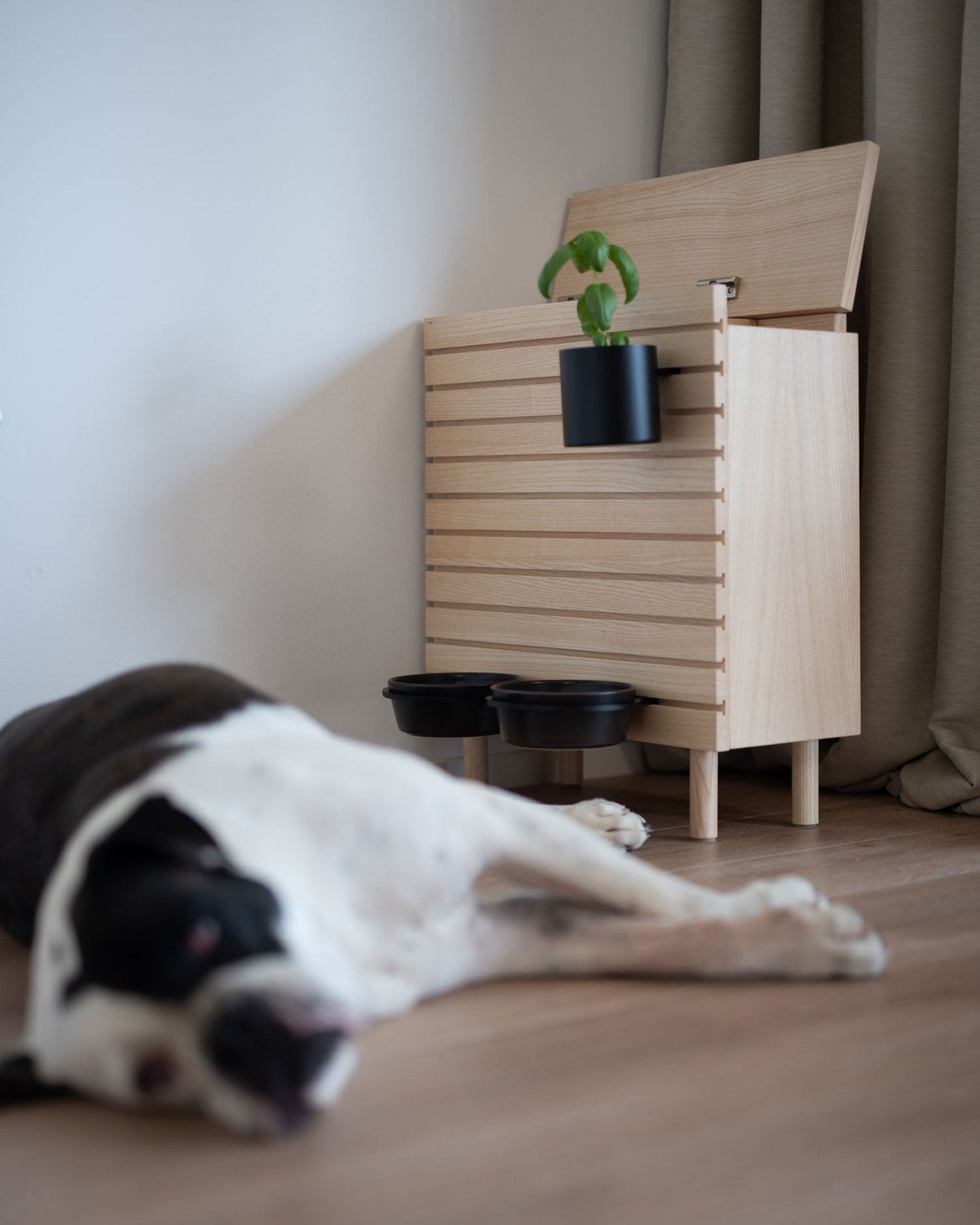 One Bite Stand – Biting Edge